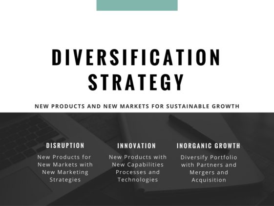 Complete Guide to Diversification Strategy - Welp Magazine