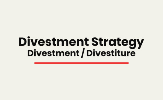 Complete Guide to Divesting Strategy - Welp Magazine