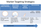 A Complete Guide to Differentiated Targeting Strategy - Welp Magazine