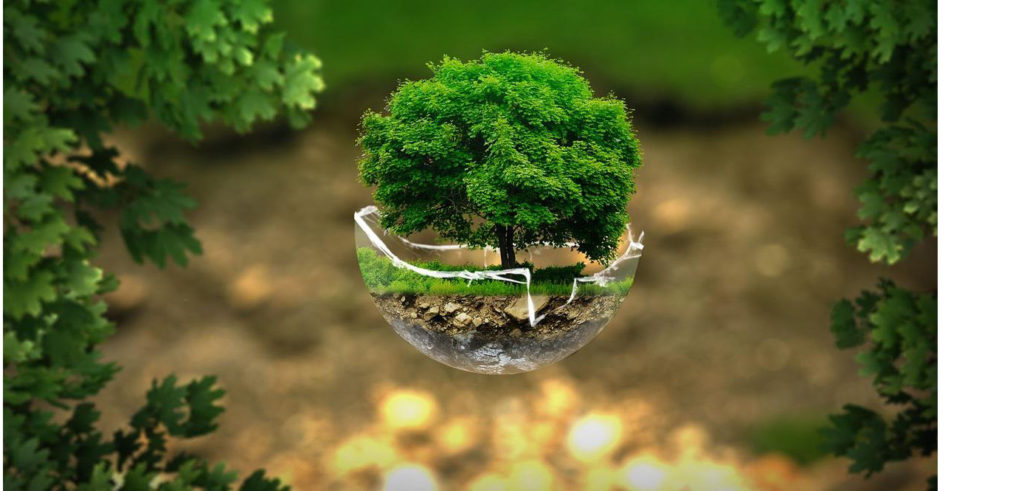 A Complete Guide to Environment Strategy - Welp Magazine