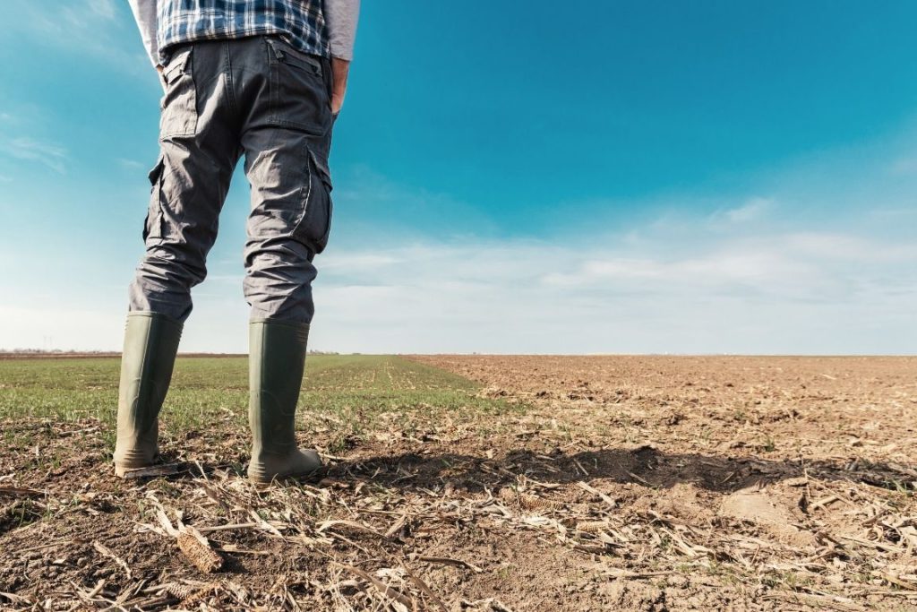 Tips and Tricks for Beginning Farmers - Welp Magazine