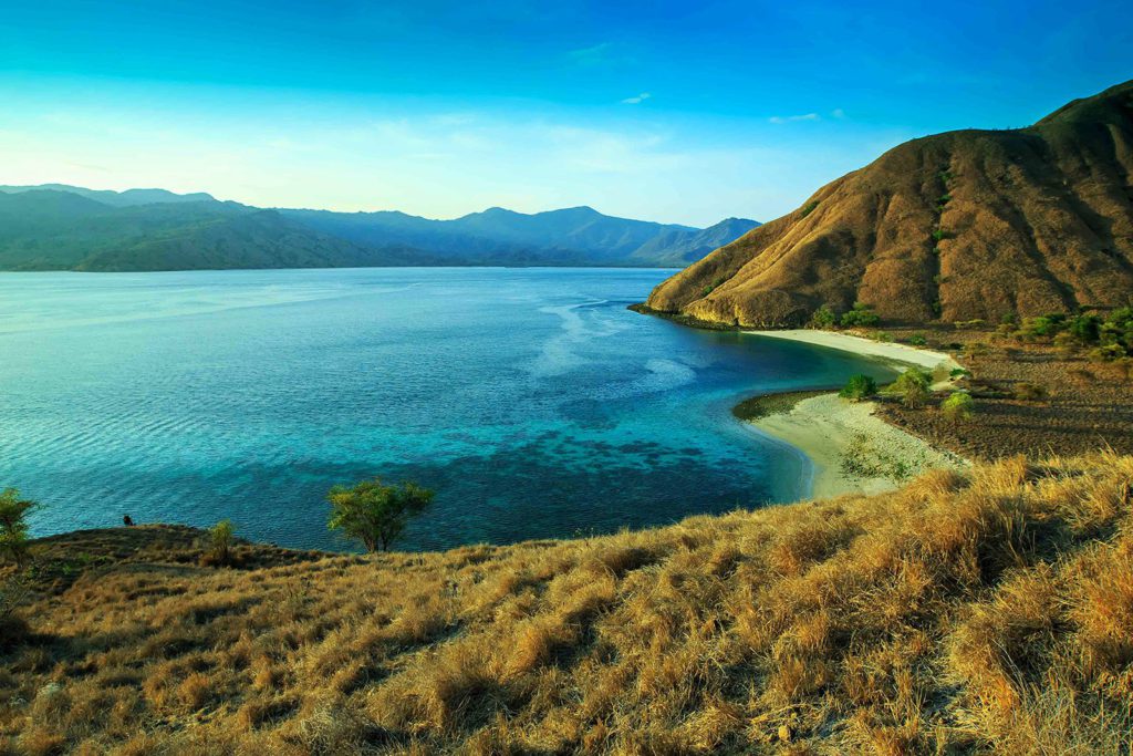 Exploring The Underwater Wonders Of Komodo National Park - Welp Magazine